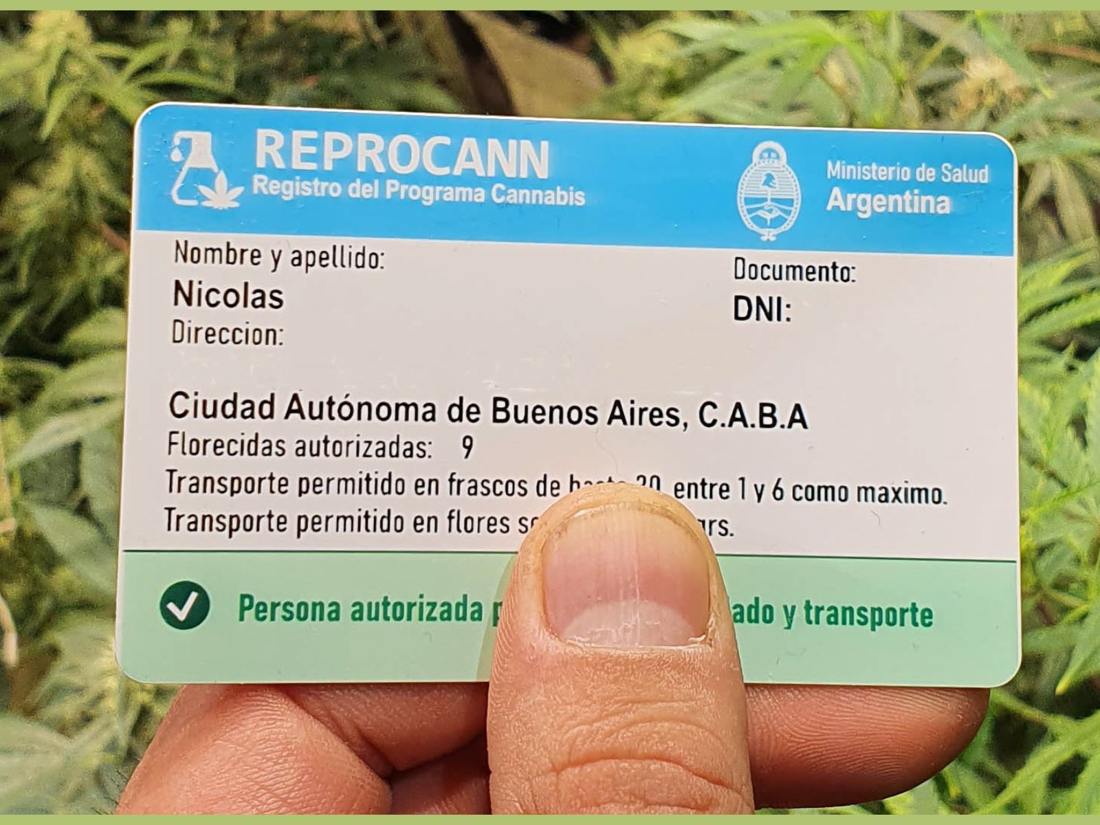 ¿Cómo funciona el registro de cultivo de Cannabis con fines medicinales ...